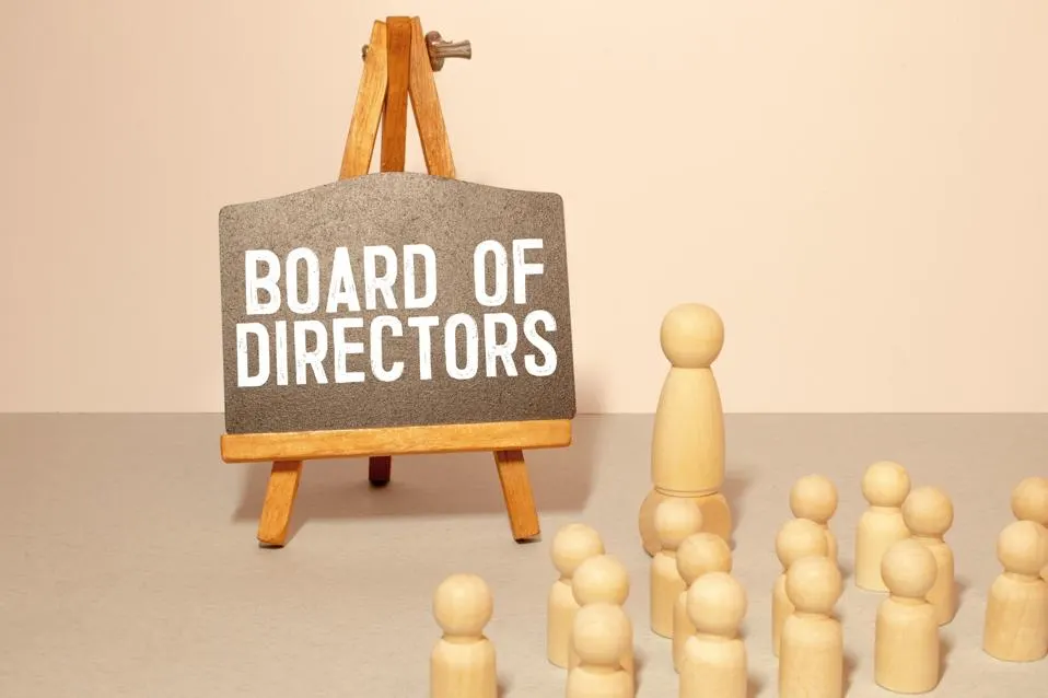 BOARD OF DIRECTOR | Vedu Infrastructure Pvt Ltd